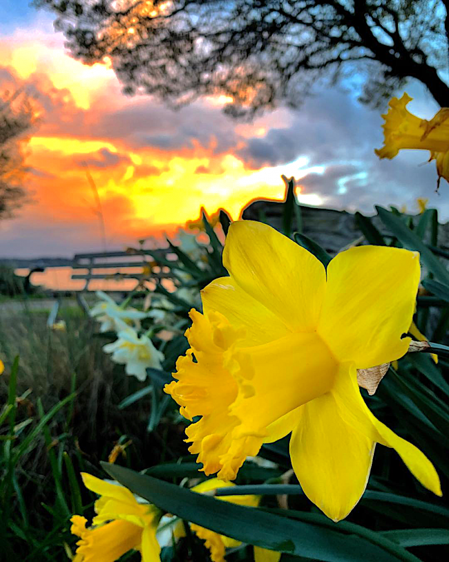 Sunset of the week 4-8-19 | Westside Seattle
